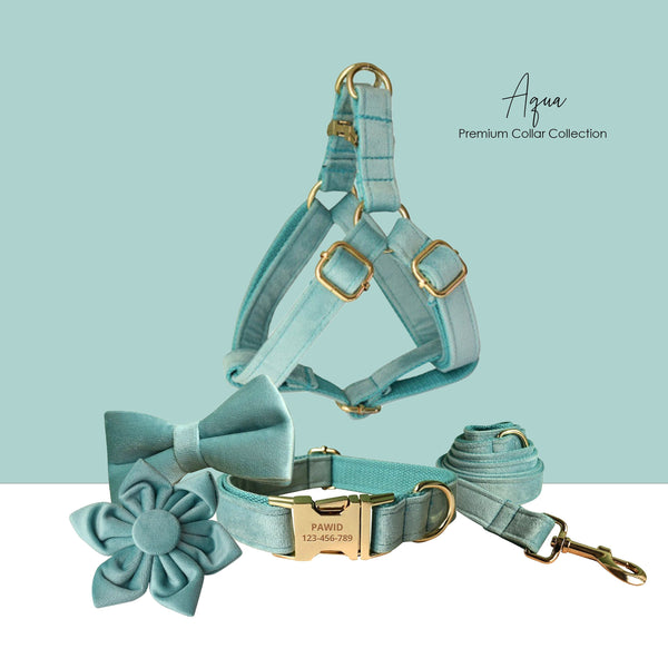 Aqua Thick Velvet Dog Collar and Lead Set and Harness Combo – Paw ID